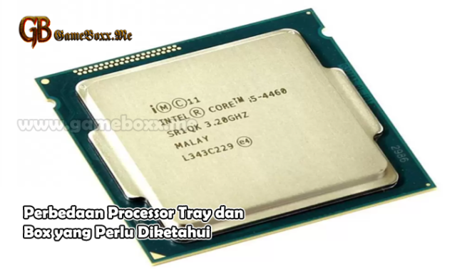 Perbedaan Processor Tray Dan Box Yang Perlu Diketahui